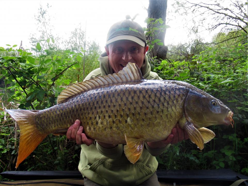 Angry Common | Total Carp